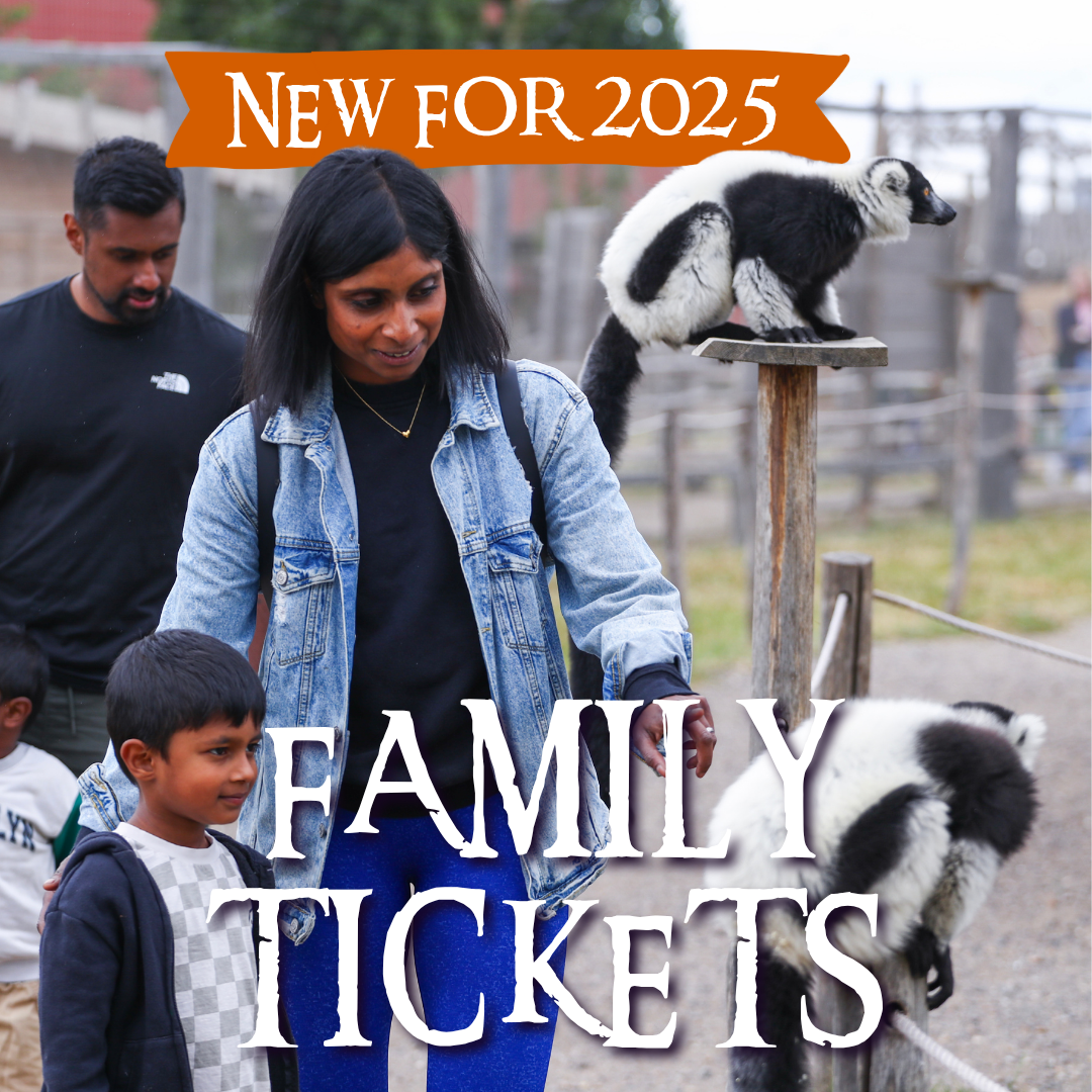 Hobbledown - Hounslow, London